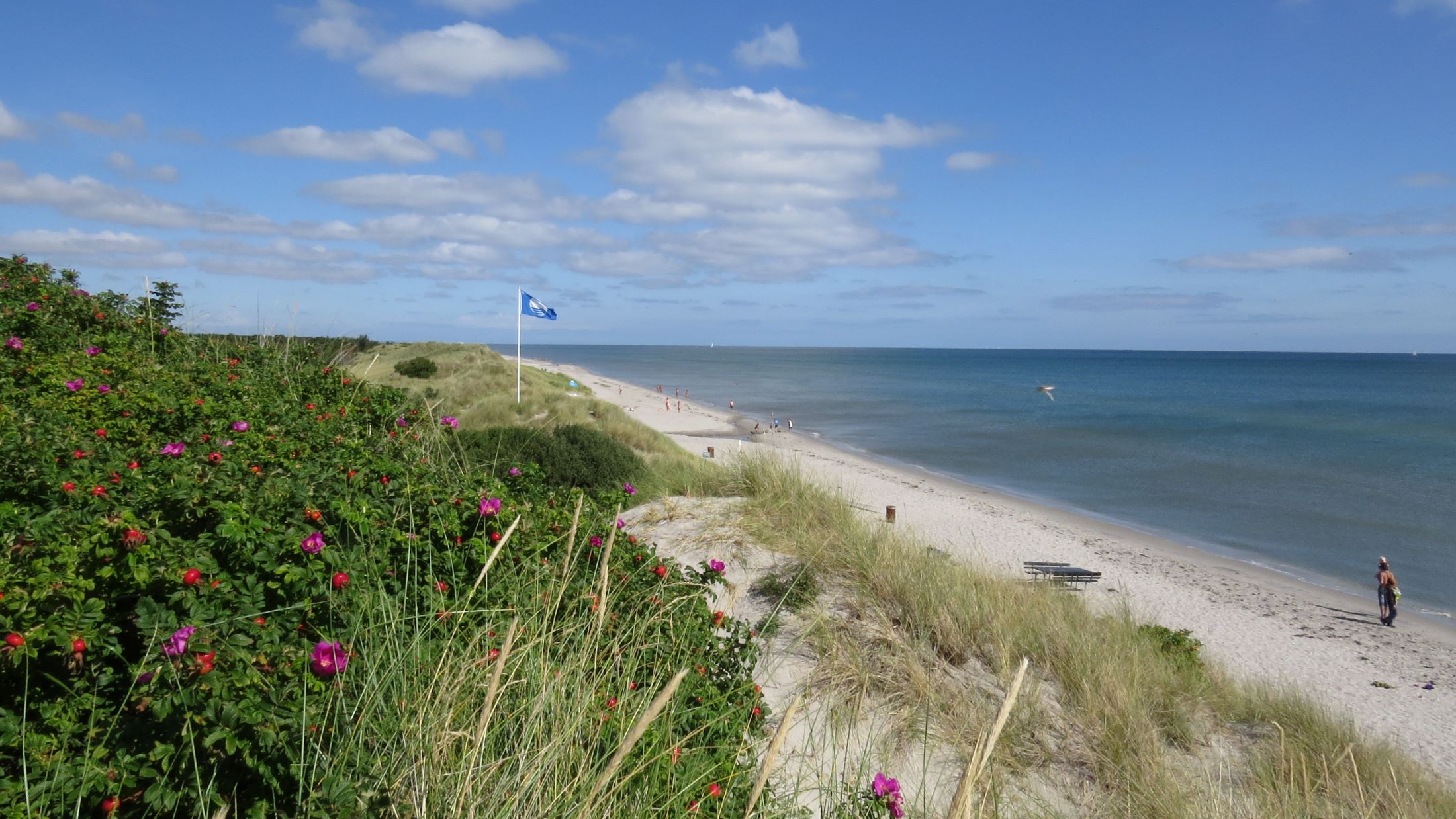 Sæby Beach | Sæby Beach | Get inspired for your beach holiday here